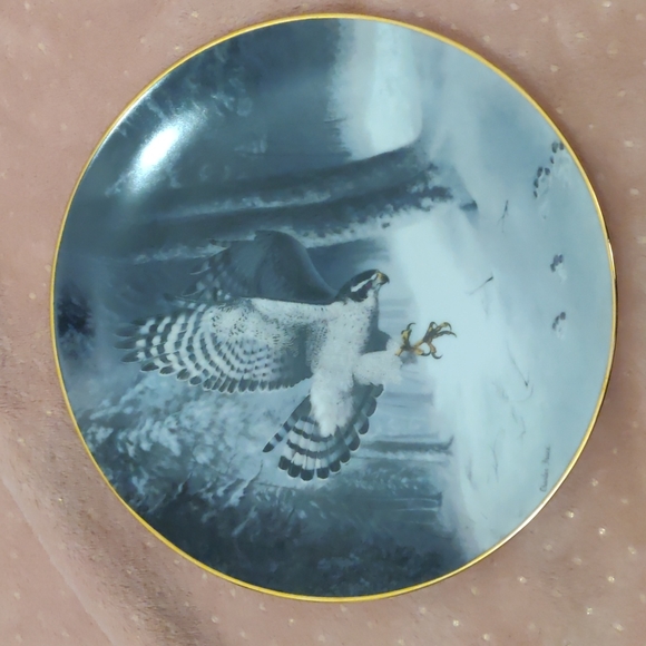 w.j. George | Accents | The Northern Goshawk Soaring Majesty Plate ...